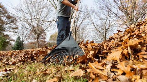Township of Verona NJ - Leaf Collection